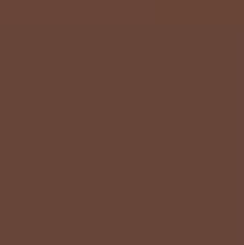 Pintura Dark Tan FS 30219 | RamScale